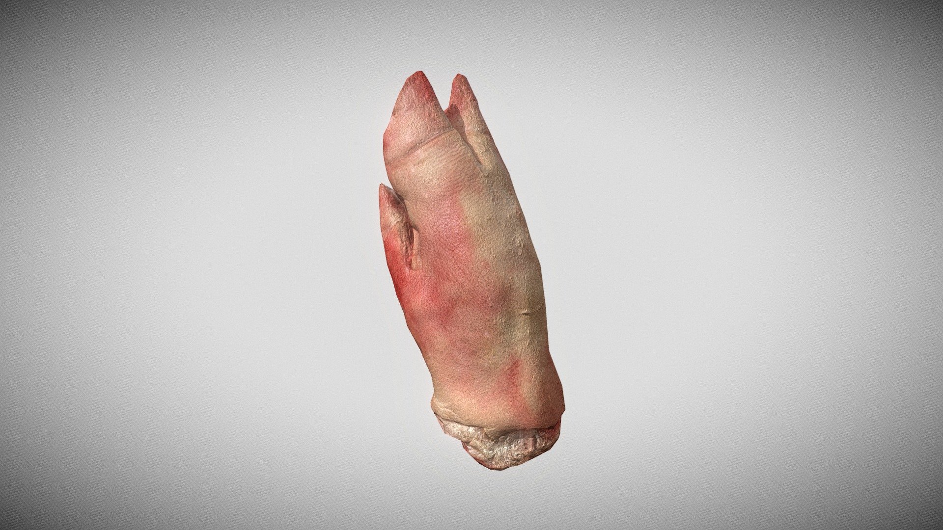 Raw Pigs Leg 3D scan - Buy Royalty Free 3D model by Mantas Talmantas ...