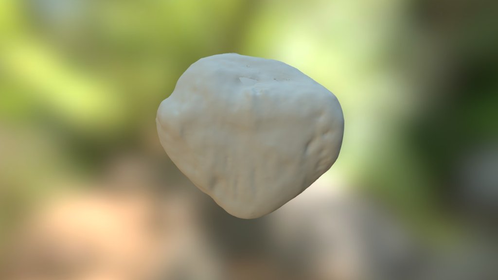 UWF4 Patella - Download Free 3D model by Mariana Z (@mzechini) [c1f2efb ...