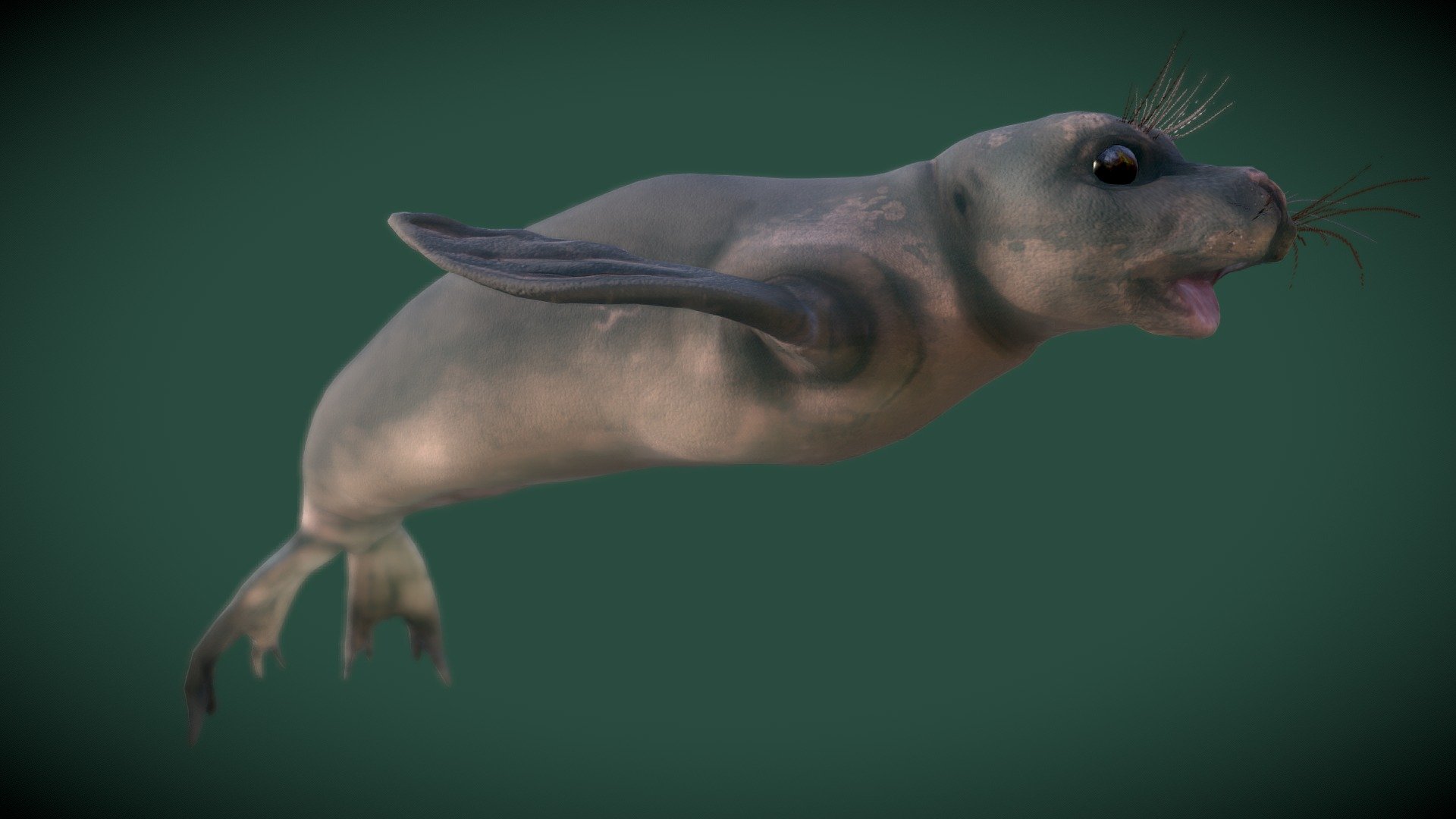 Sea Wolf Rigged LowPoly - 3D model by daviscazar [c1f647a] - Sketchfab
