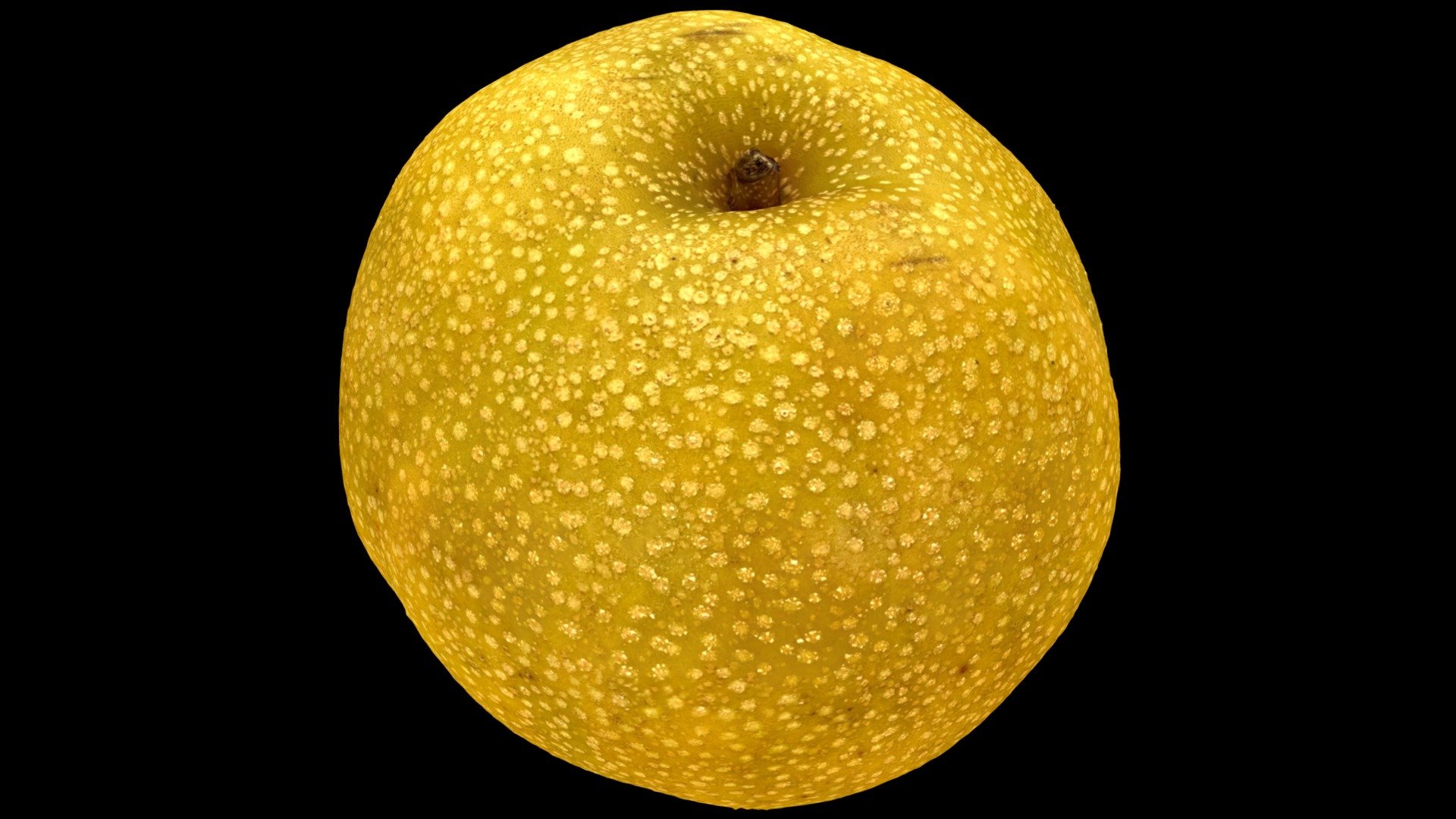 Japanese Pear Hosui （豊水） - 3D model by Akiko_NAKAMURA (@Akiko_NAKAMUR ...