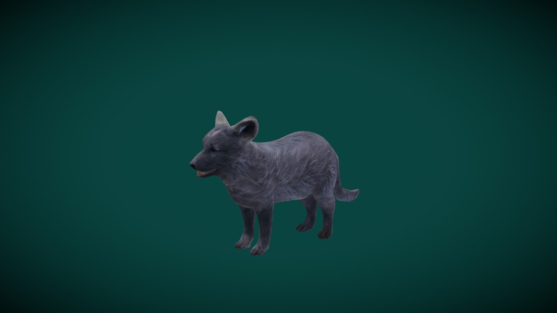 Arctic Fox Cub (Lowpoly) - Buy Royalty Free 3D model by ...