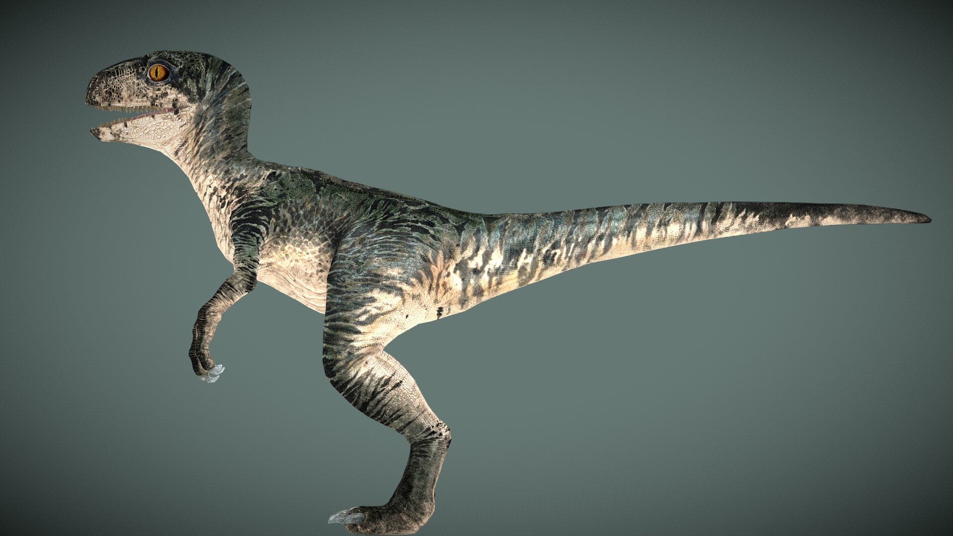 Jurassic World: Fallen Kingdom 2018 Baby Delta - Download Free 3D model ...