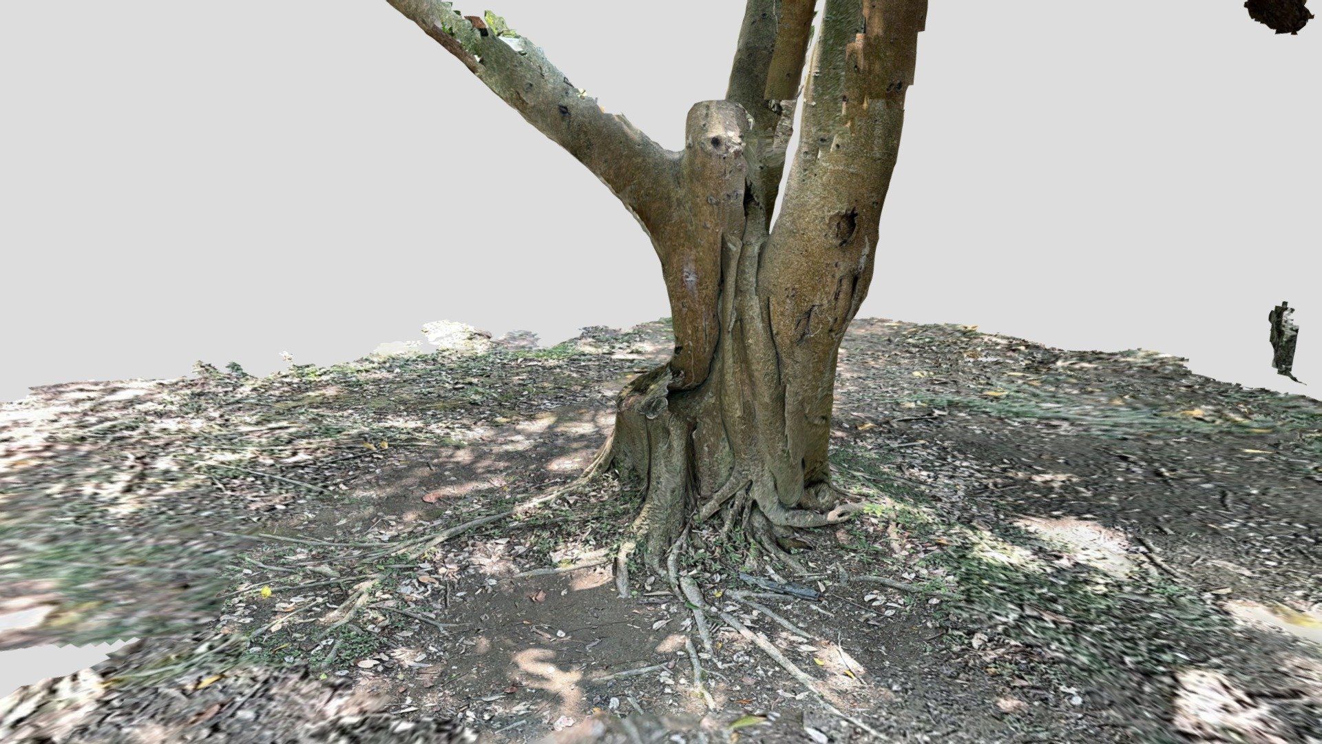 Untitled Scan - Download Free 3D model by Yiweispp [c2081ca] - Sketchfab