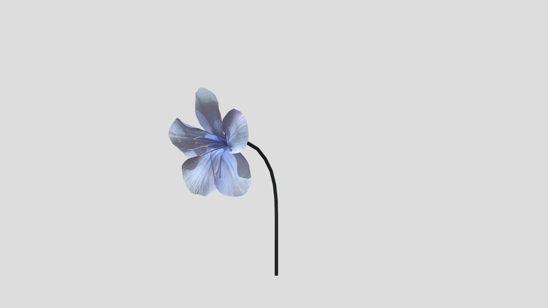 Blue Flower Animated - Download Free 3D model by morphy.vision [c20b1f1 ...