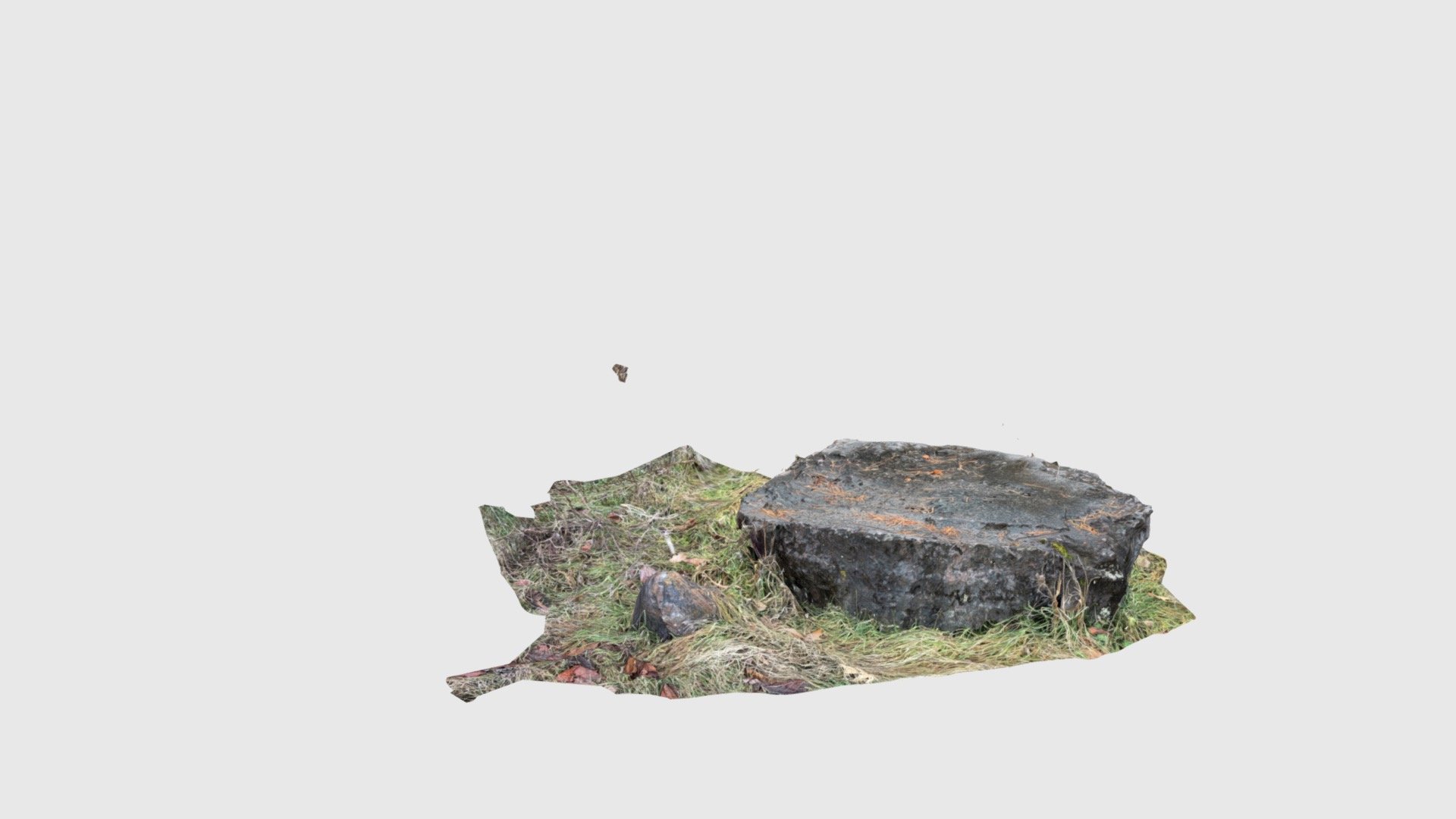PGF Salamander - Download Free 3D model by angela.jaillet [c215392 ...