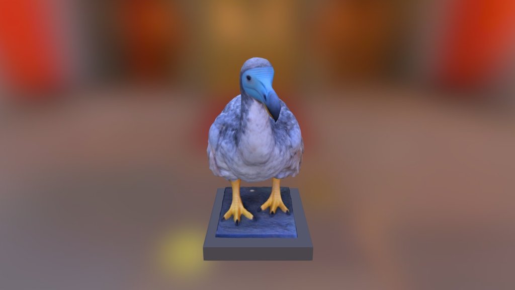 dodo-model - 3D model by pengo [c21df83] - Sketchfab