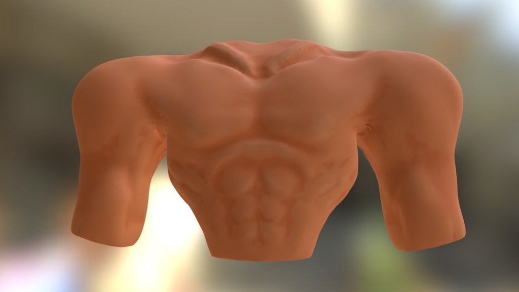 Day 10 Stylized Torso - 3D model by aunpyz [c22f30e] - Sketchfab