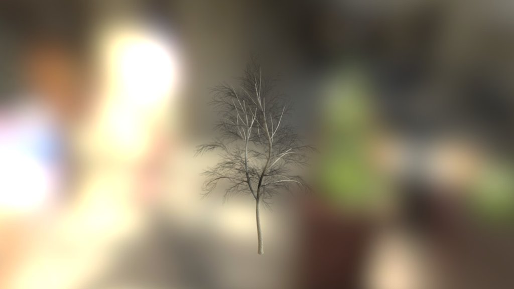 Bare Tree - 3D model by Cheza [c231084] - Sketchfab