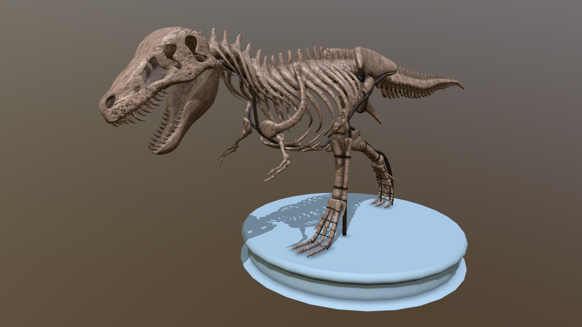 T-Rex Skeleton Exhibit - 3D model by PhiMue [c23364f] - Sketchfab