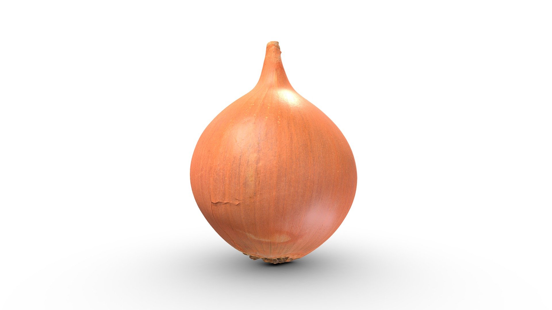 Onion - 3D model by RawCatalog.com (@rawcatalog) [c233ca1] - Sketchfab