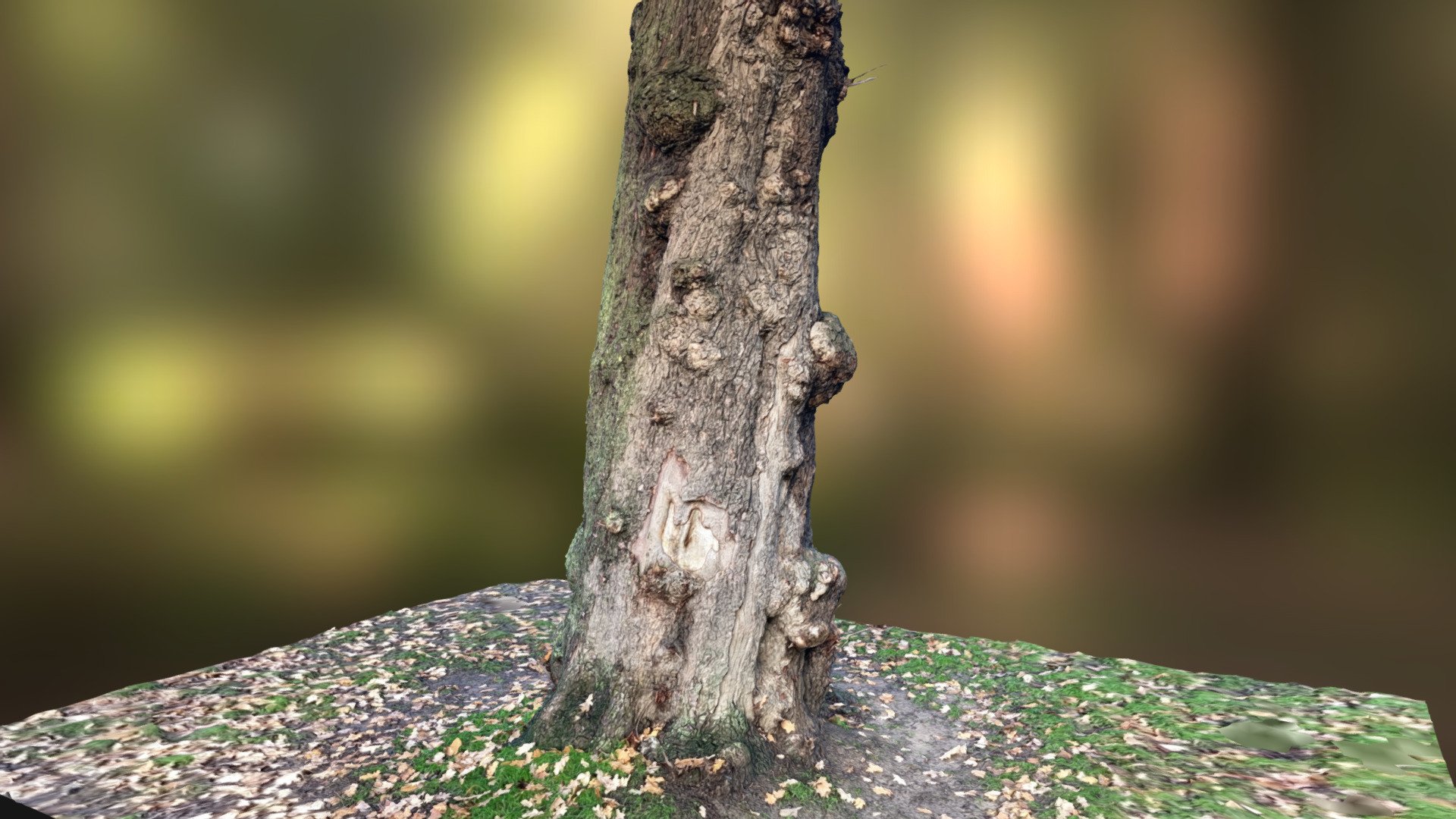 Mossy Tree trunk - Download Free 3D model by Kai Christmann (@kai_am ...