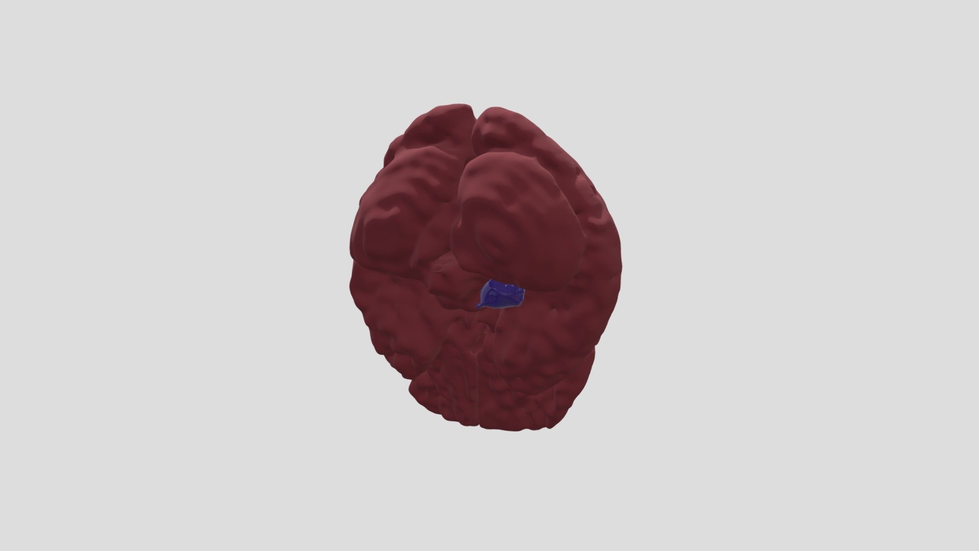 Segmentation - 3D model by AliRababah [c248b75] - Sketchfab