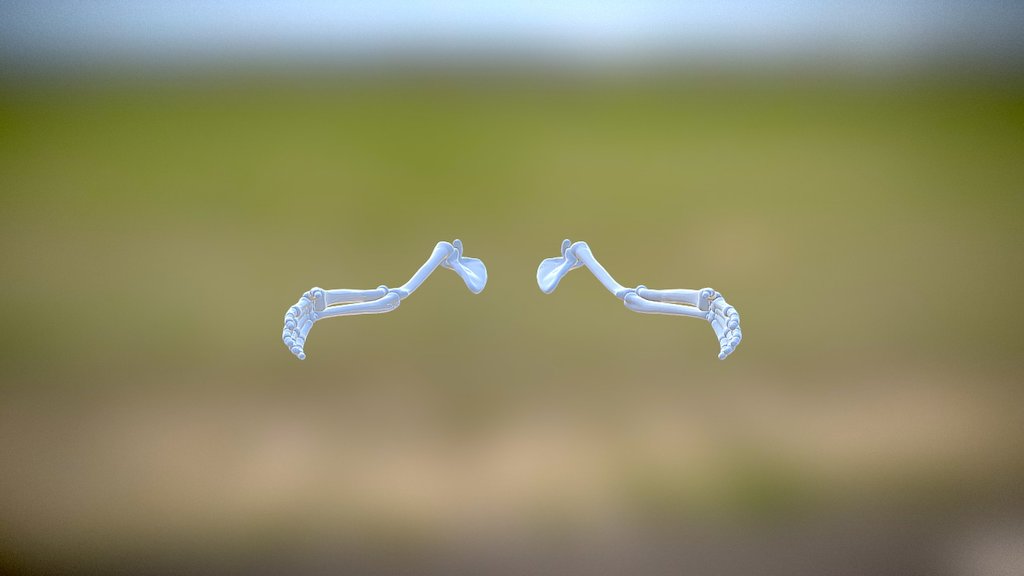HUMAN HANDS STL - 3D model by iviram [c249566] - Sketchfab