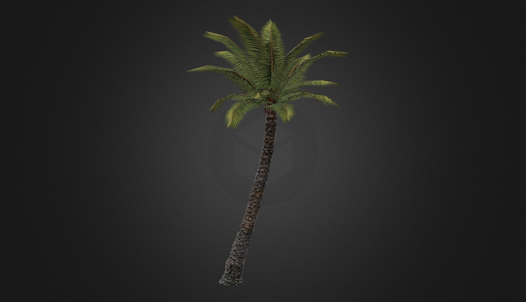 Palm-1 - Download Free 3D model by attben [c2511a9] - Sketchfab