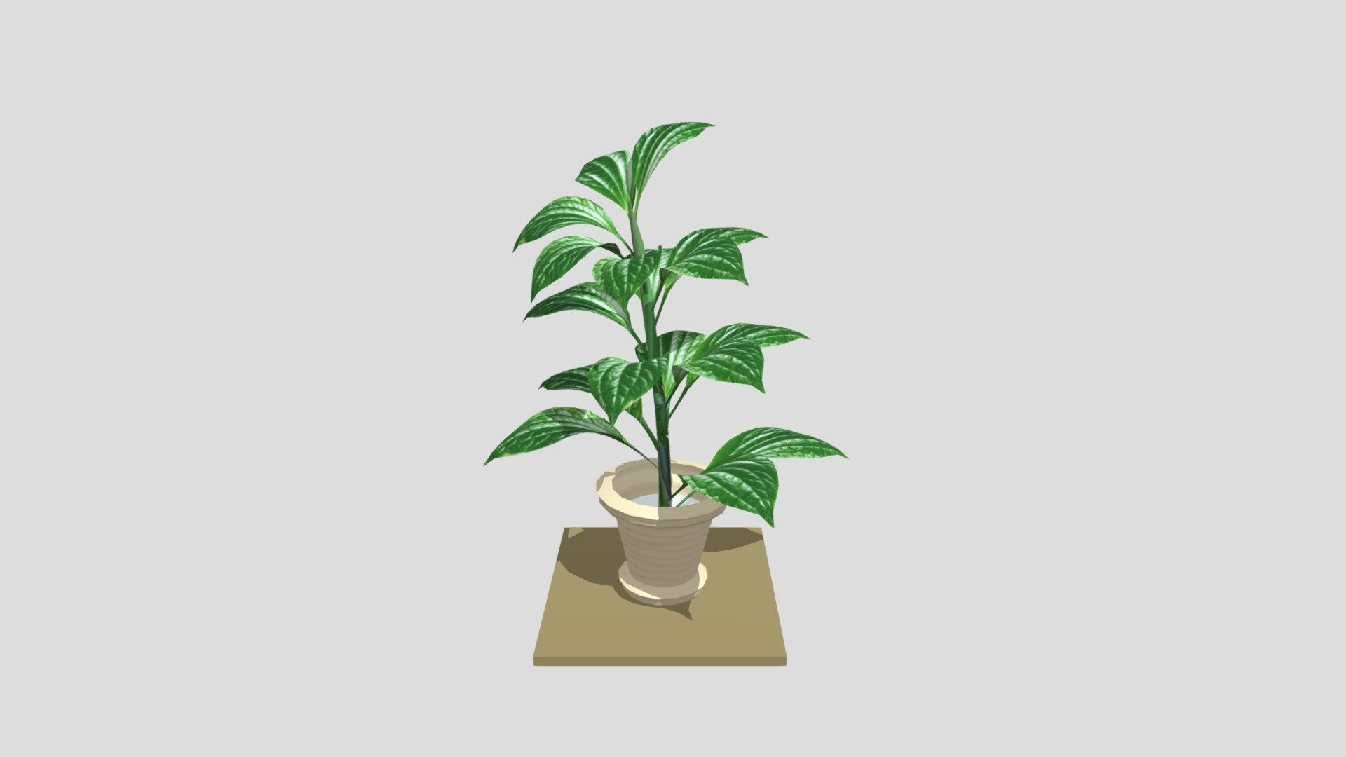 Plant - Download Free 3D model by emmahovs [c256af7] - Sketchfab