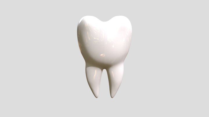 Tooth-anatomy 3D models - Sketchfab