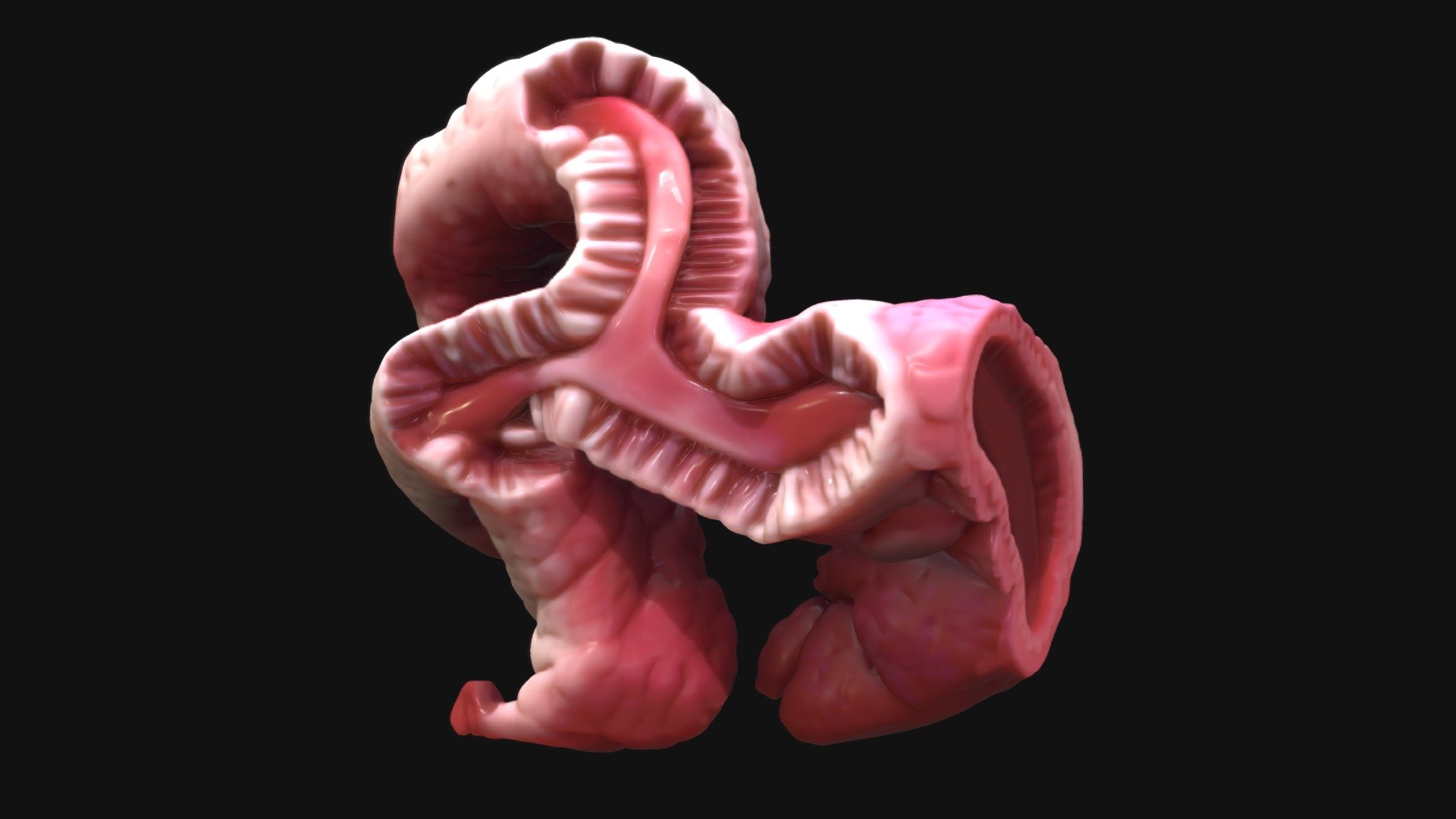 Epithelium - 3D model by zames1992 [c25ca14] - Sketchfab