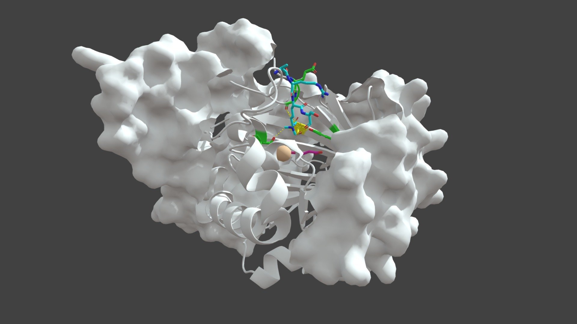 JMJD2A in Complex with H3K9me3 - Download Free 3D model by ctwudonovan ...