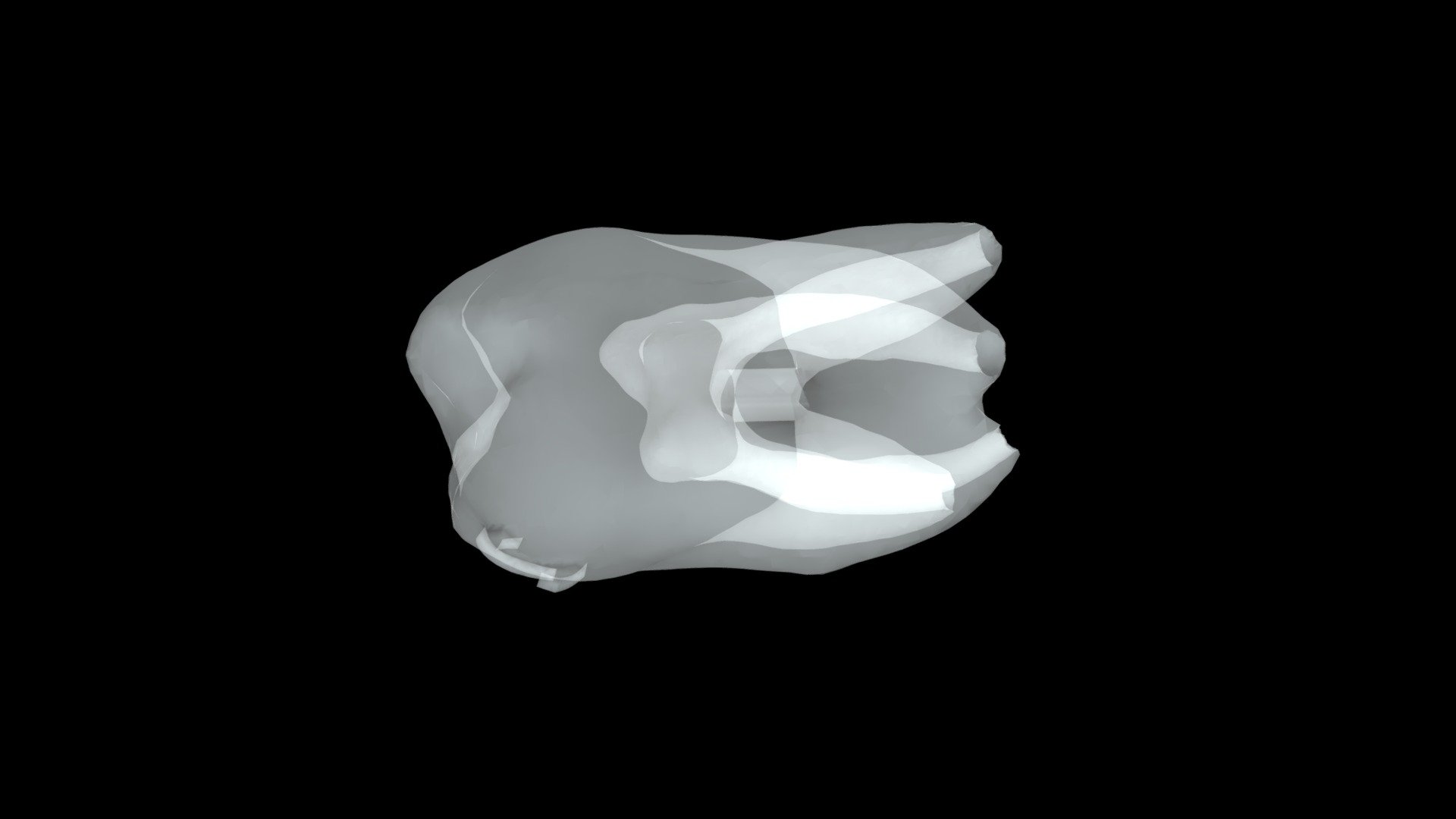 Tooth #2 Perforated - 3D model by biomed3d [c265e40] - Sketchfab