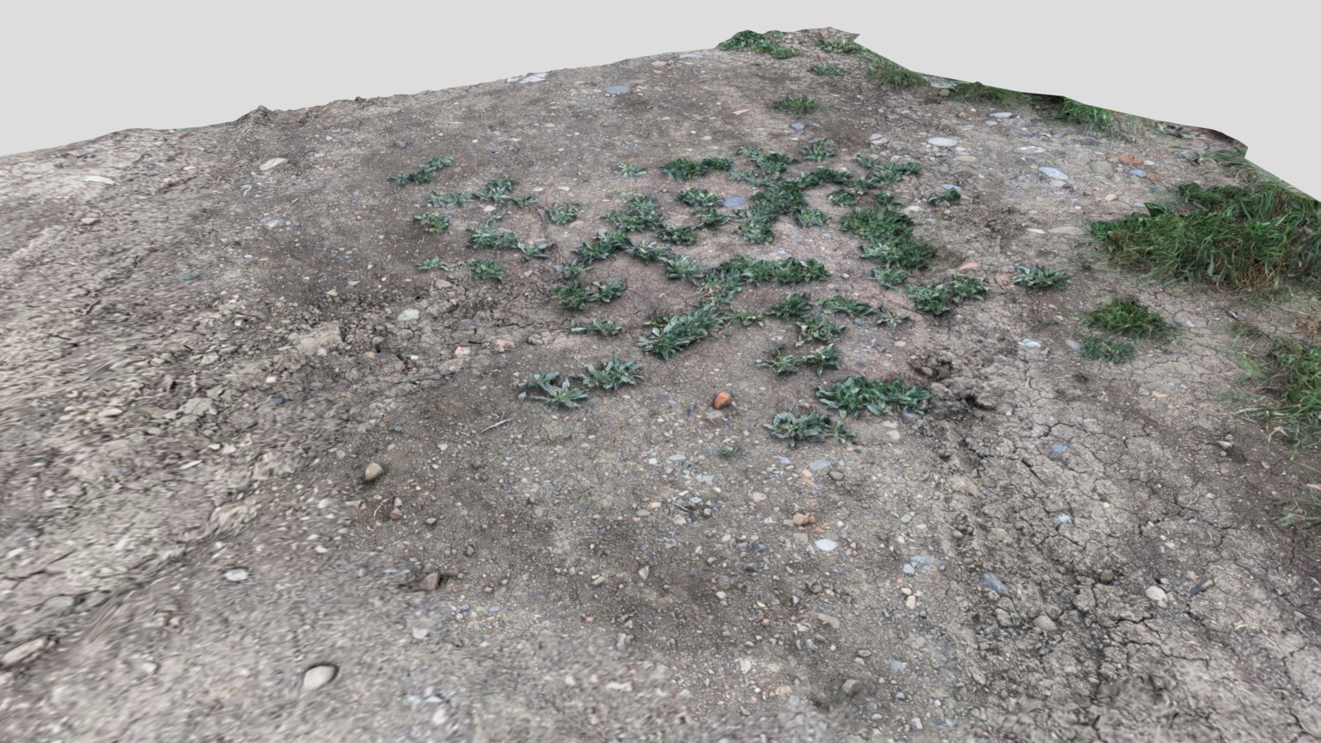 Ground vegetation - Download Free 3D model by thuberchs [c2705d6 ...