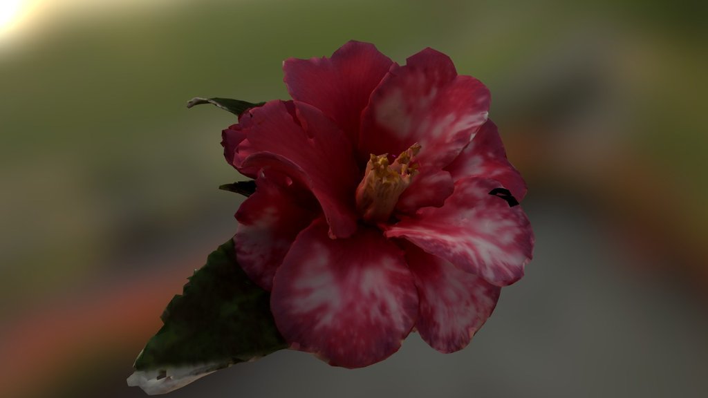 3D scanned flower - 3D model by iontrades [c271129] - Sketchfab