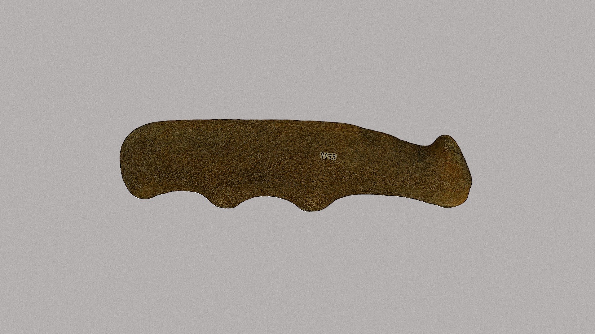Zoólito 7079 - 3D model by Museu Arqueológico de Sambaqui de Joinville ...