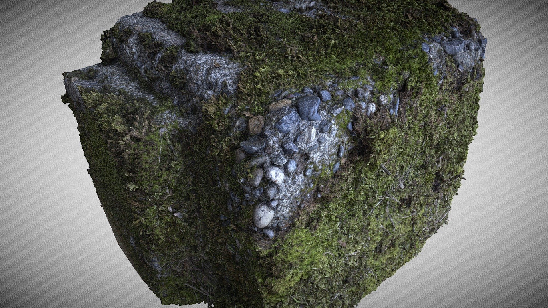 Moss Corner - Download Free 3D model by Anticipateants [c27d8d1 ...