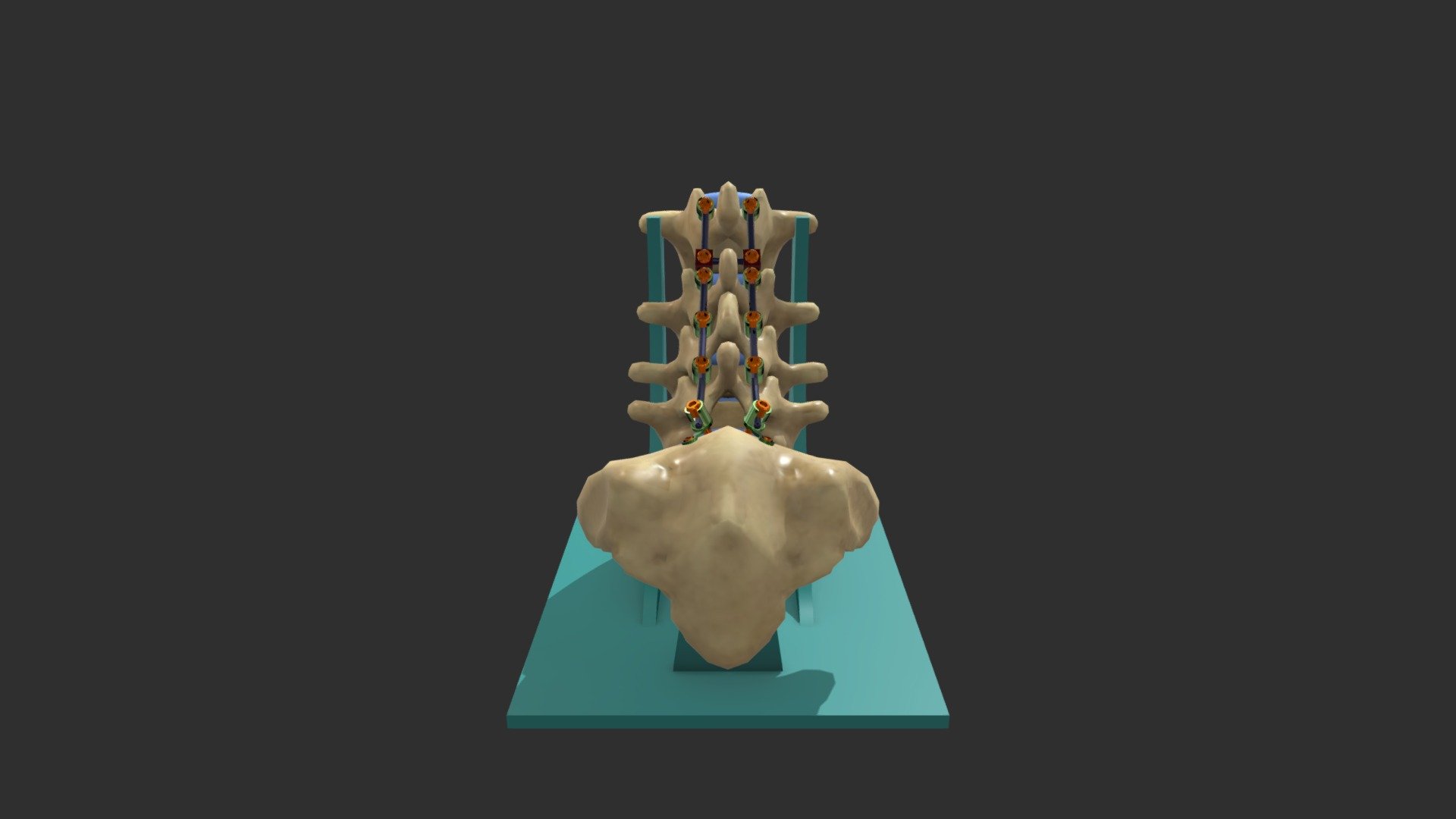 Spine - 3D model by ArtofMarceloCabral [c287956] - Sketchfab