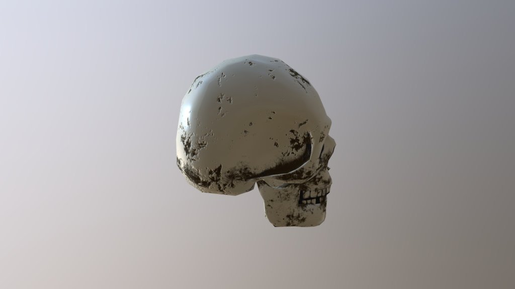 Skull - 3D model by AgedSollarUni [c296c6b] - Sketchfab