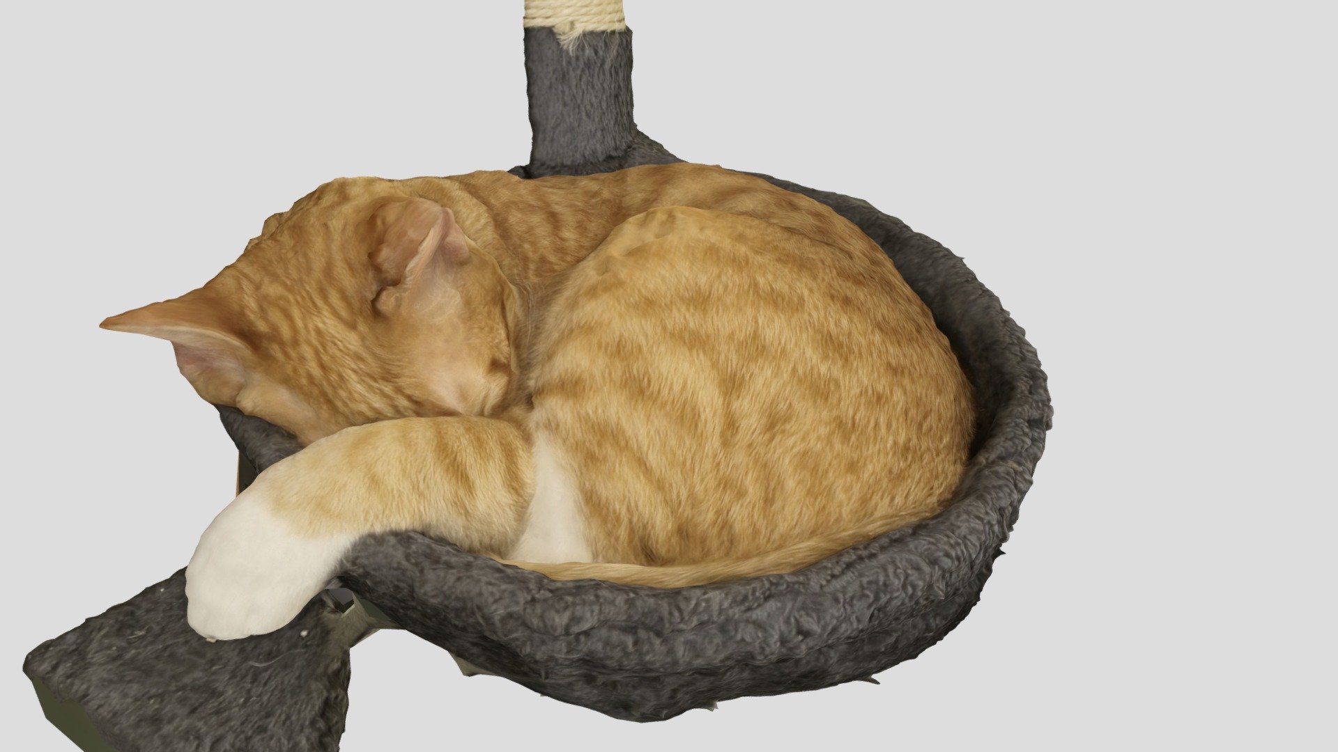 Sleeping Cat - Download Free 3D model by Fyrokid [c29df38] - Sketchfab