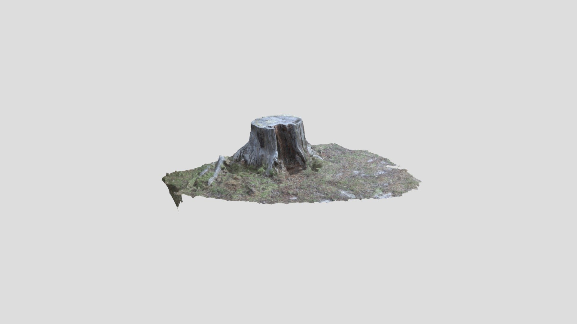 Tree Stump - Download Free 3D model by shaneRH [c29f7f5] - Sketchfab