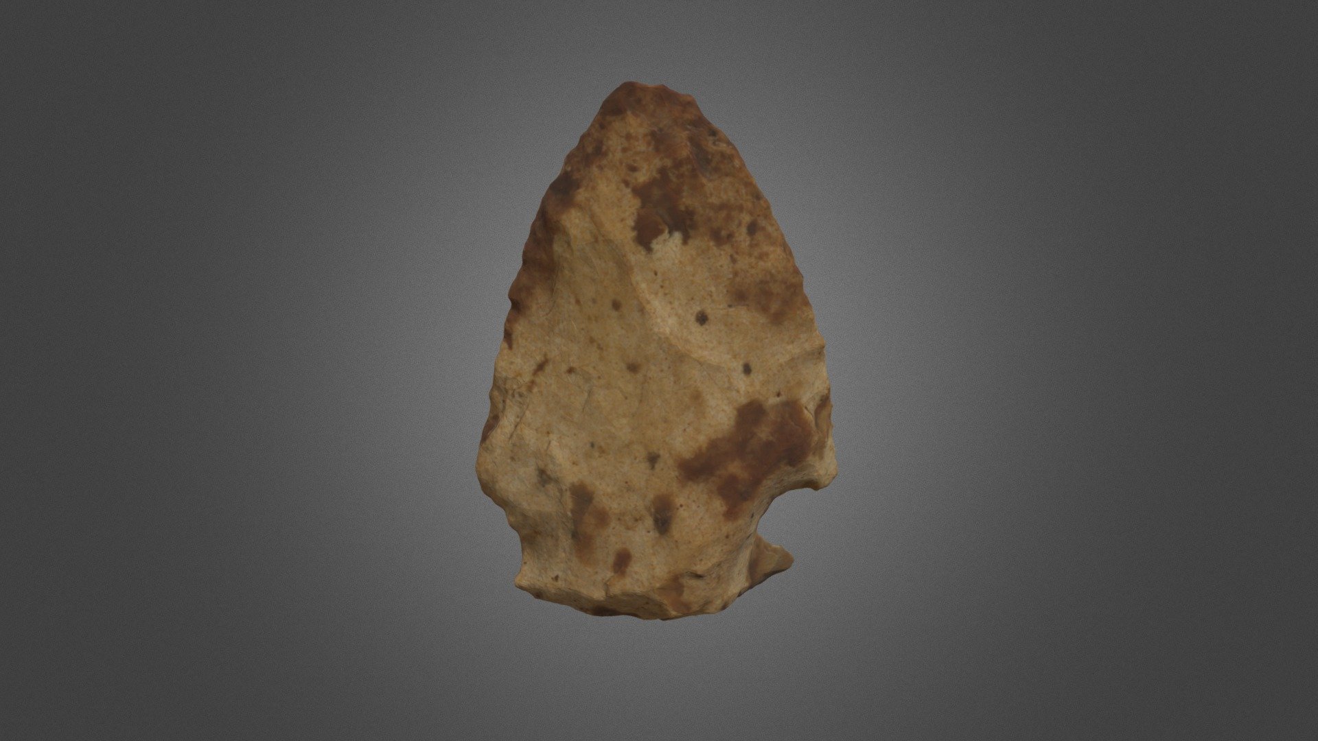 Williams Lithic Point - 3D model by Louisiana Public Archaeology Lab ...