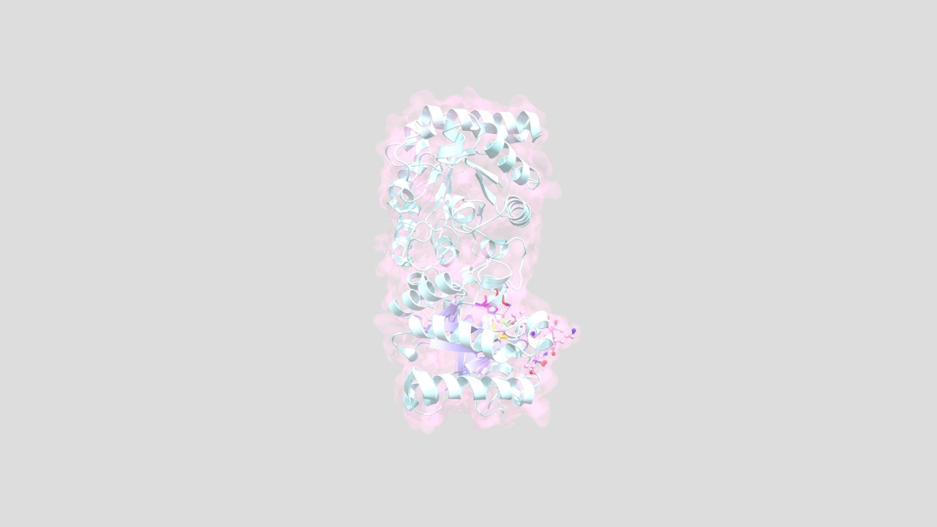 Human TPI Enzyme and the Stages of Grief - 3D model by sammiandbelinda ...