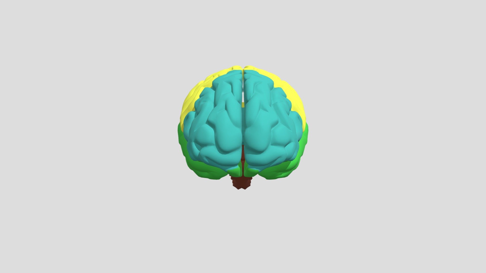 brain-project - 3D model by arinakut [c2b4132] - Sketchfab