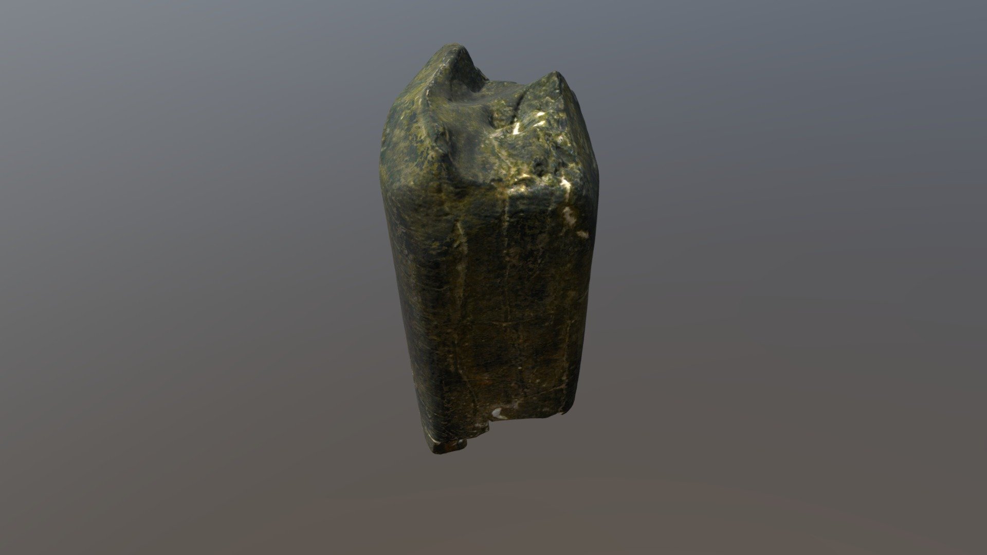 Eremotherium Tooth (VCU_3D_3091) - Download Free 3D model by Virtual ...