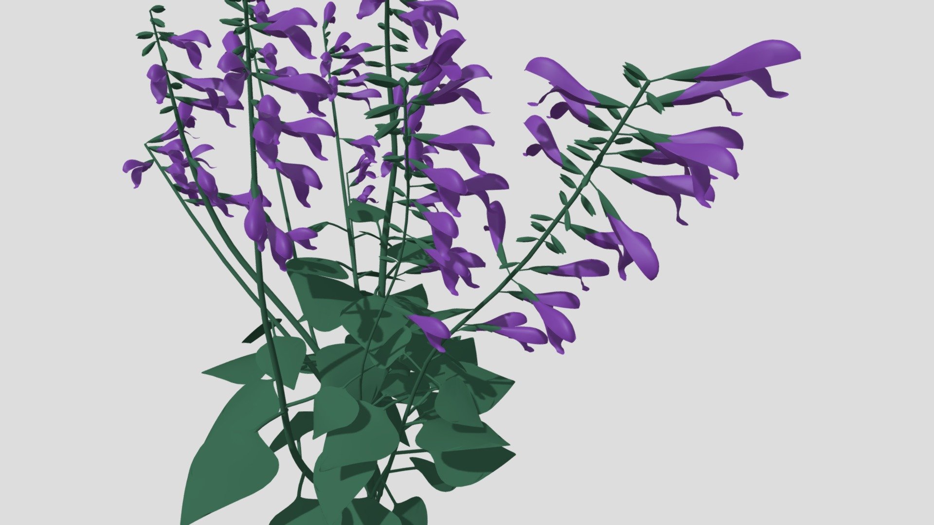 Salvia Guaranitica - Download Free 3D model by dinda.artist [c2b66c5 ...