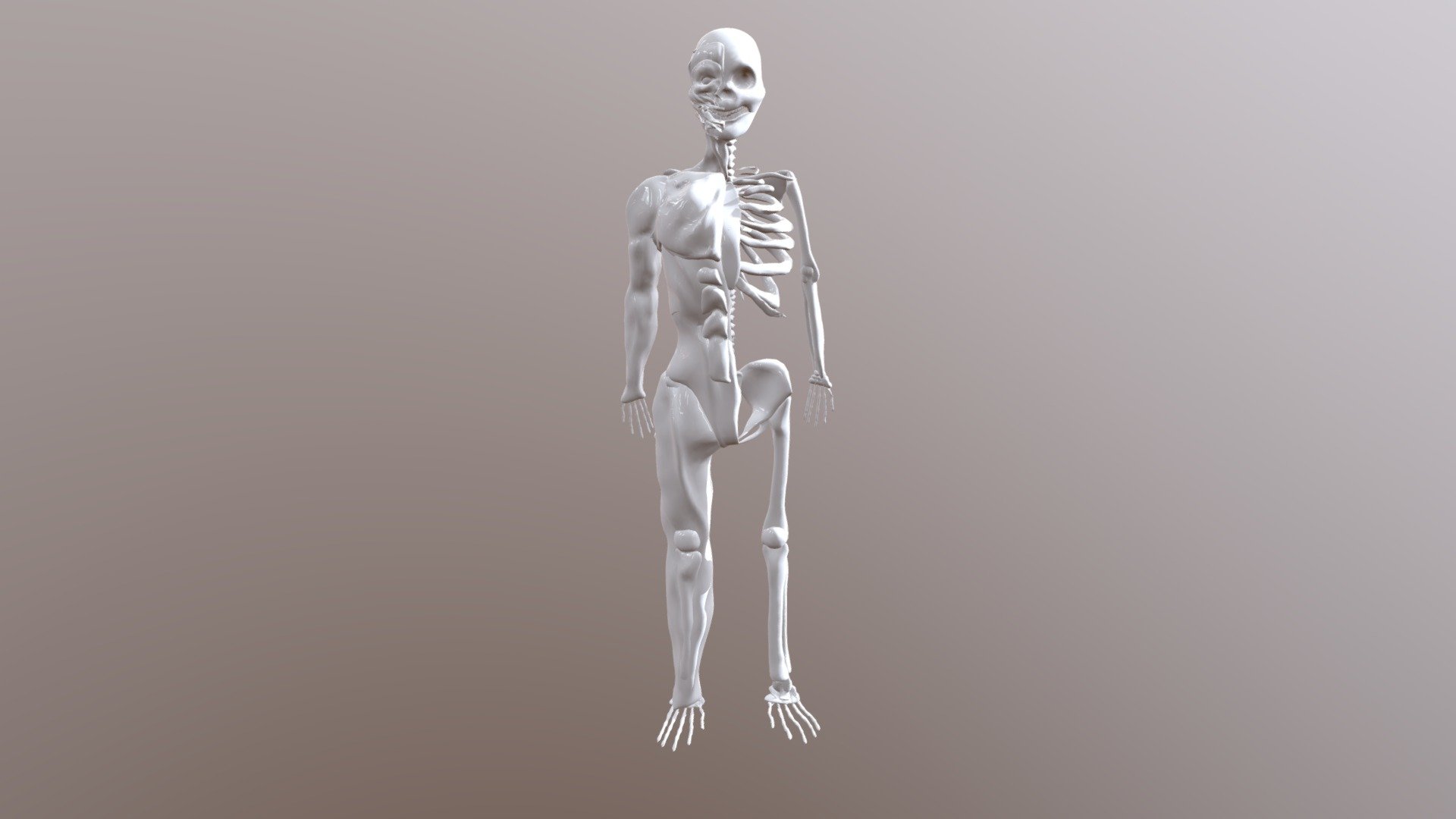 Skeleton PRJ - 3D model by cctang [c2b67a6] - Sketchfab