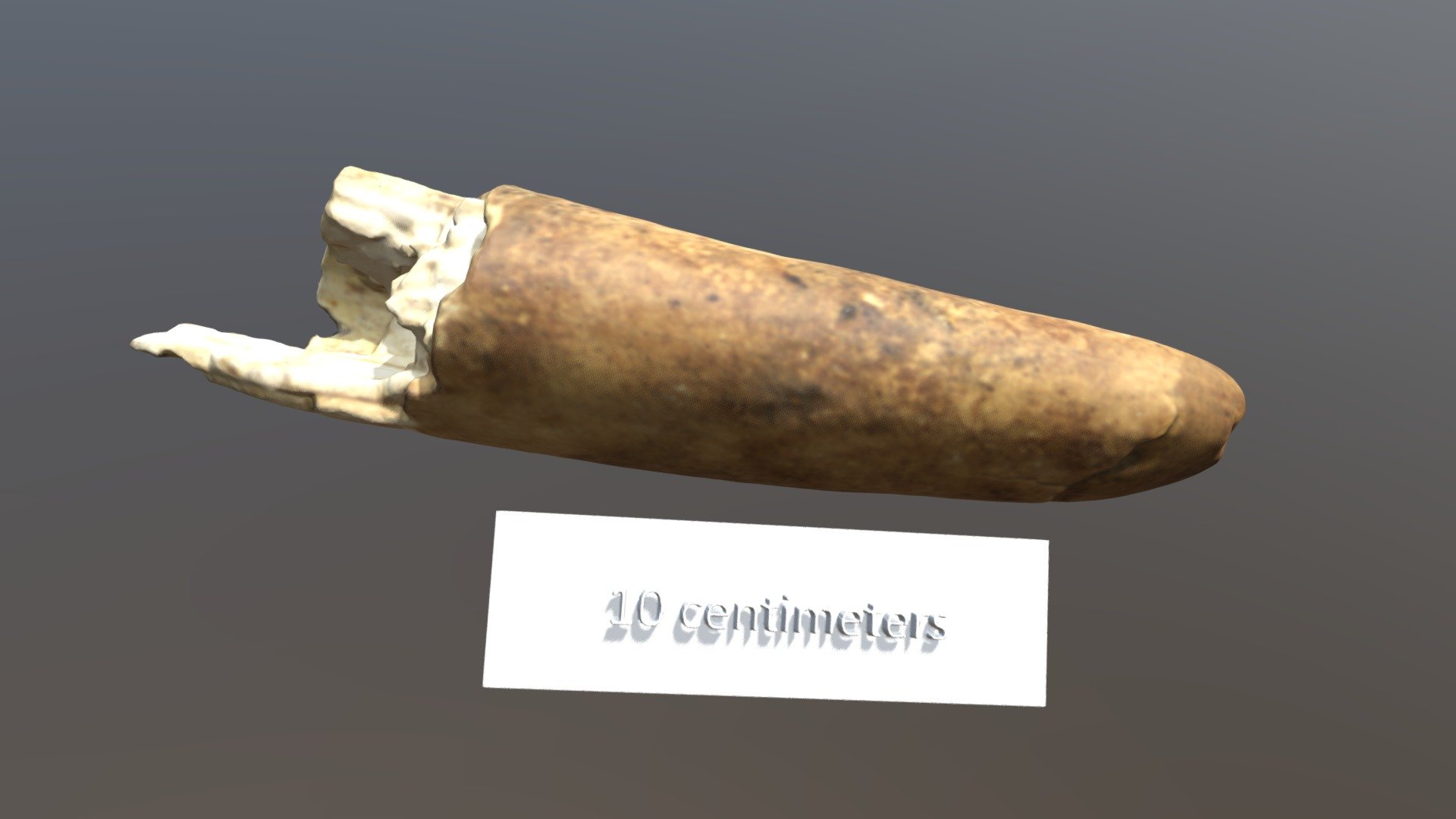 Mastodon Tusk Fragment (VCU_3D_3873) - 3D model by Virtual Curation Lab ...