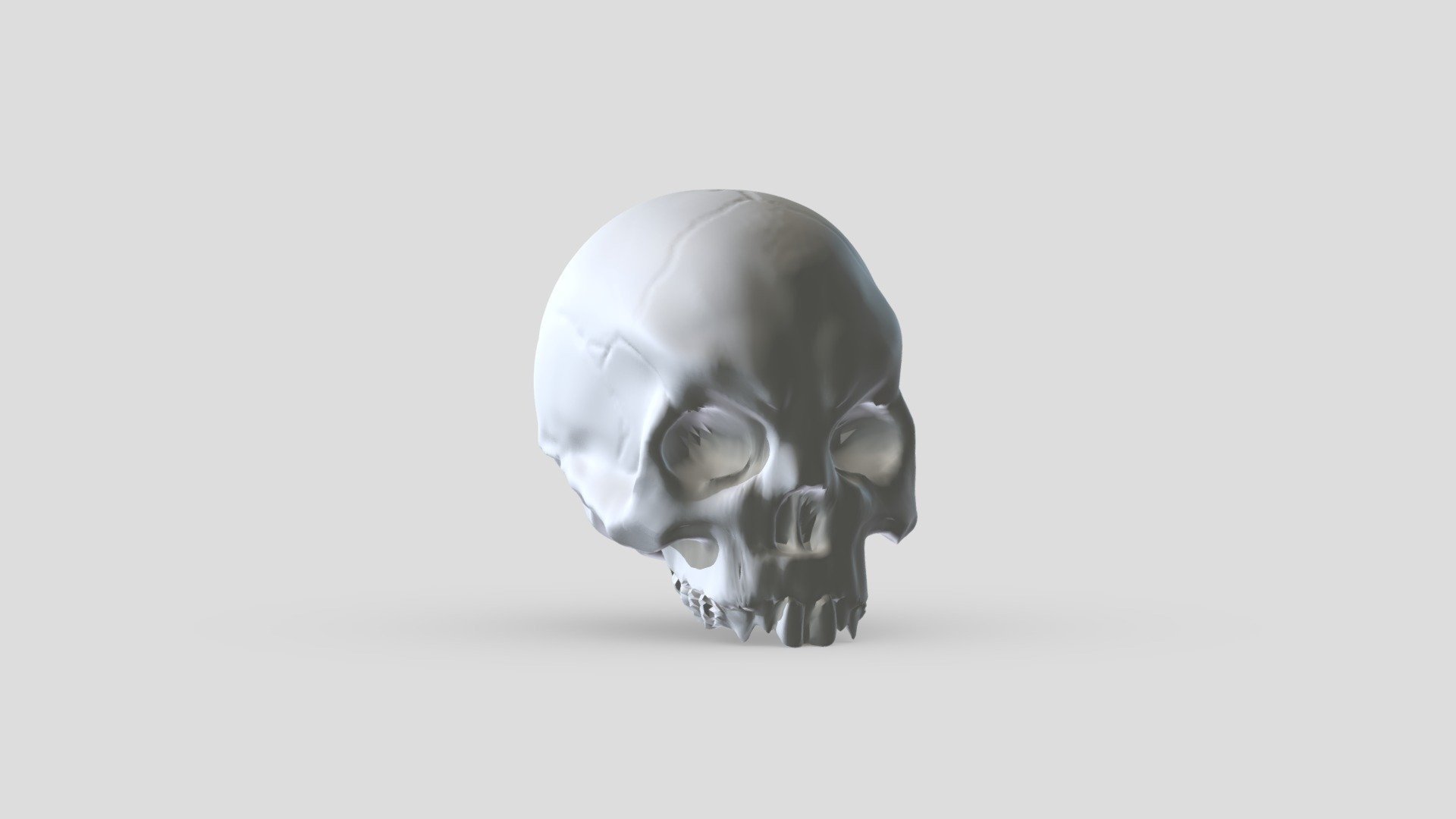 Zbrush Skull - Download Free 3D model by Jack Court-Chandler (@Jack ...