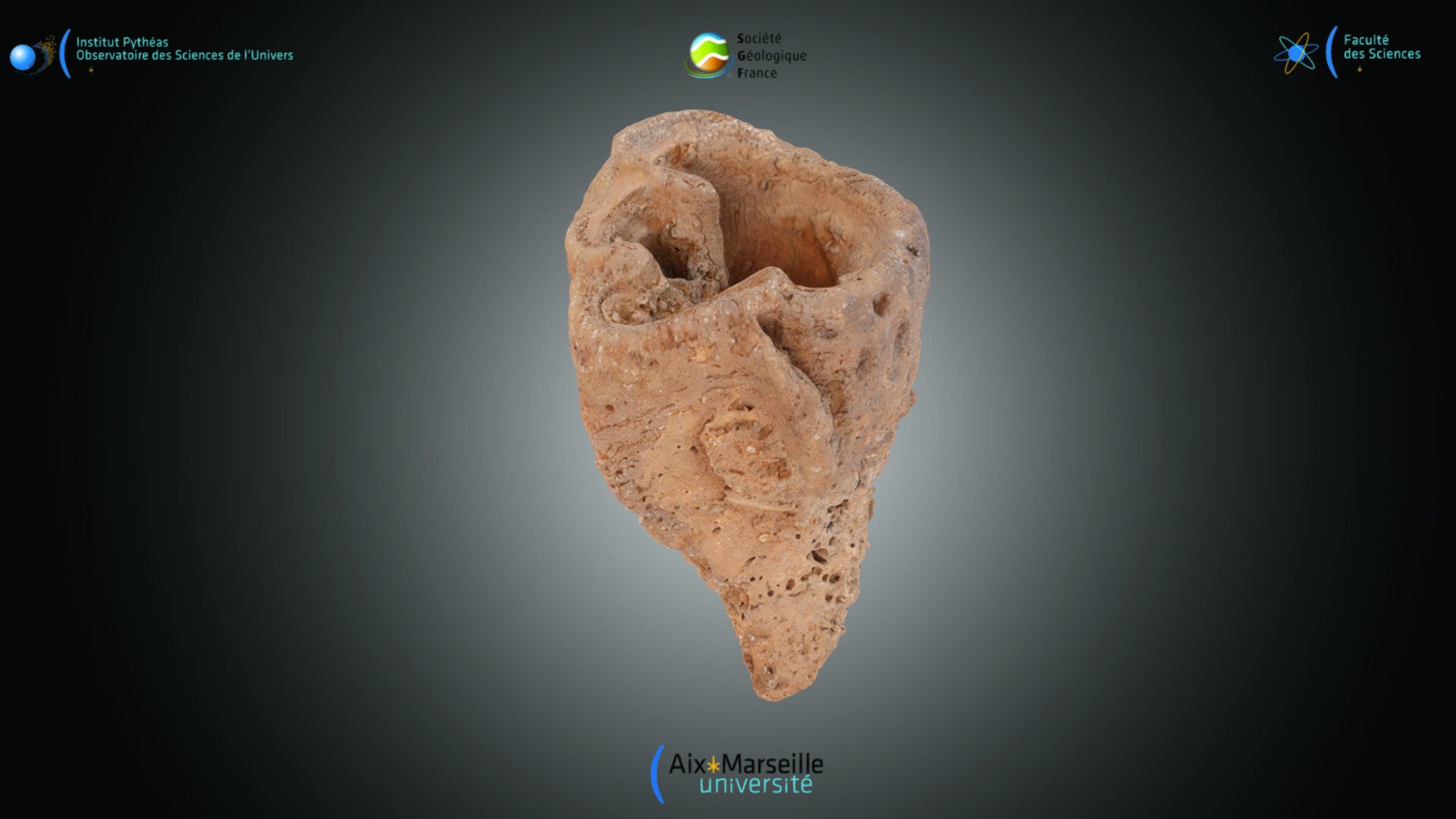 Bivalve - Hippurites resectus - Download Free 3D model by Société ...