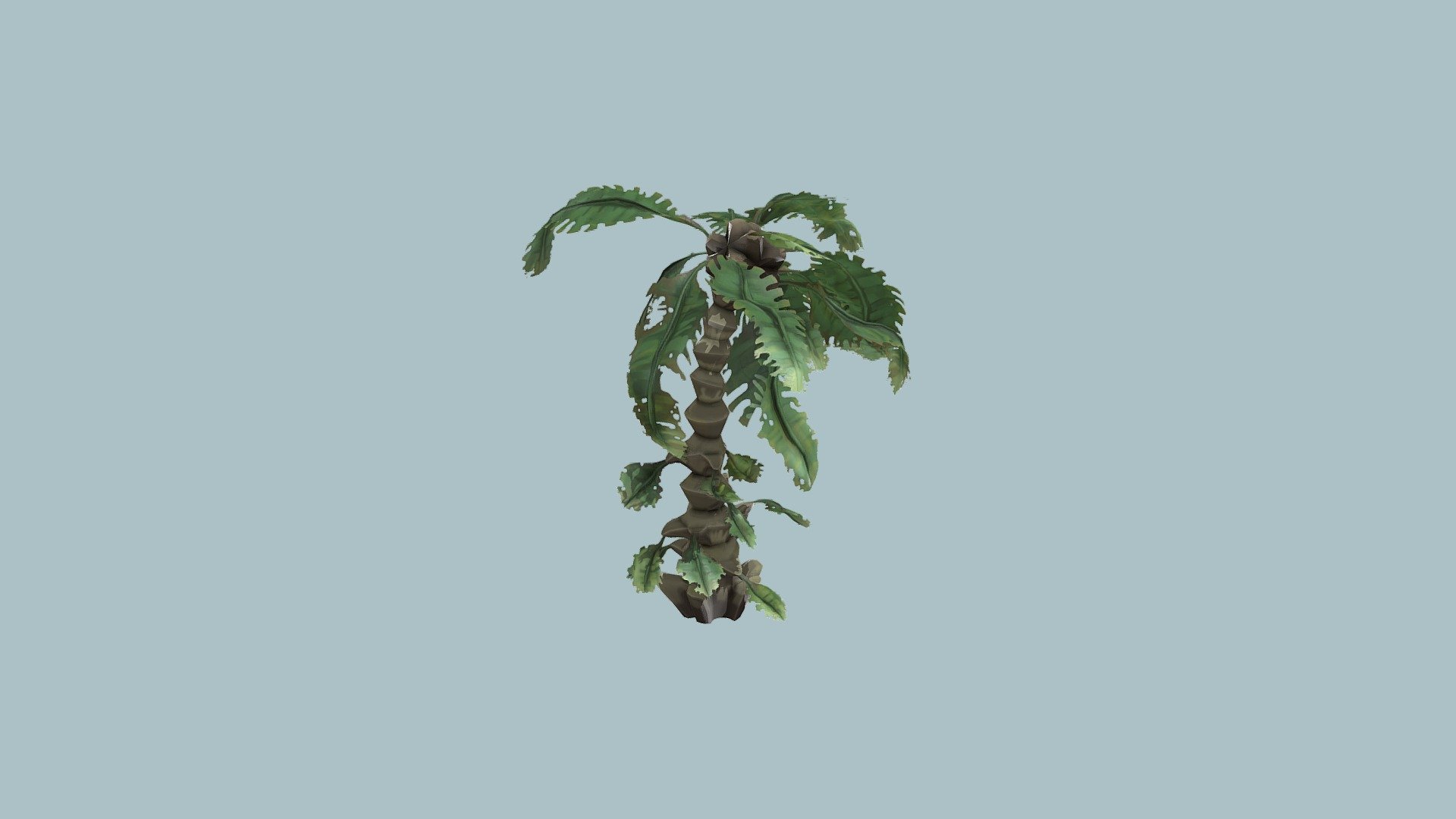 Stylized Mid-Poly Windy Palm Tree - 3D model by blossom.and.orange ...