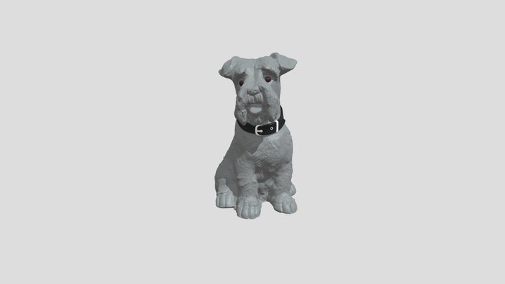 Schnauzer 3D models - Sketchfab