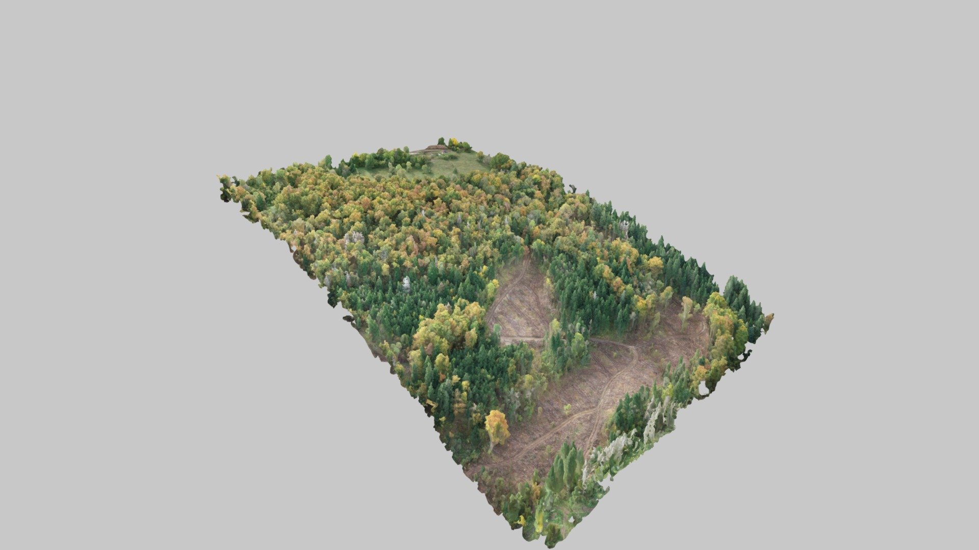 Relevé Topographique Coupe Banche foret Jura - 3D model by Dexan ...