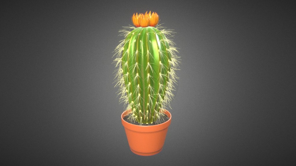 Cactus - 3D model by MartinRH [c2e8754] - Sketchfab