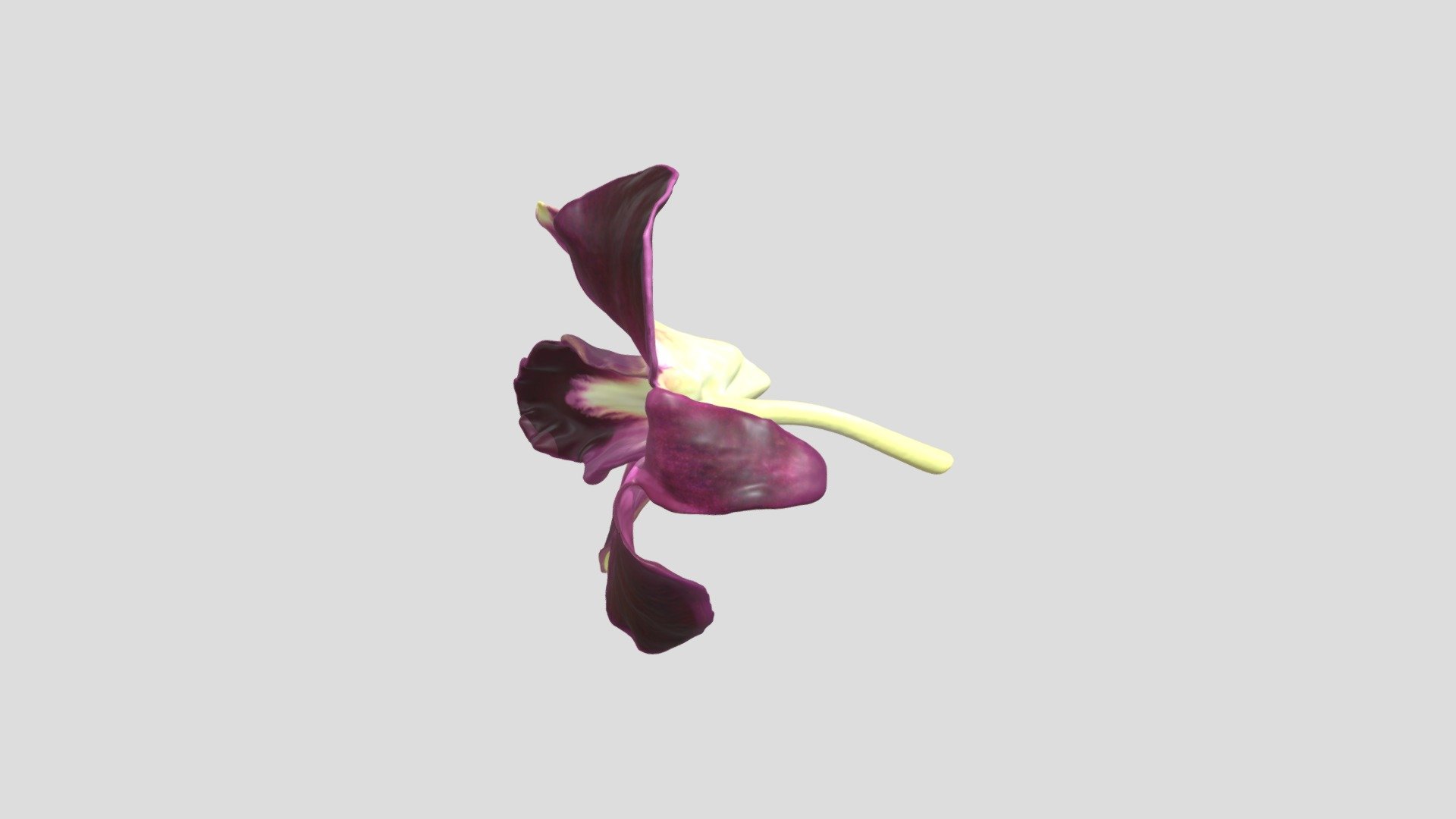 Flower 3d scanned - 3D model by rehansk198 [c300083] - Sketchfab