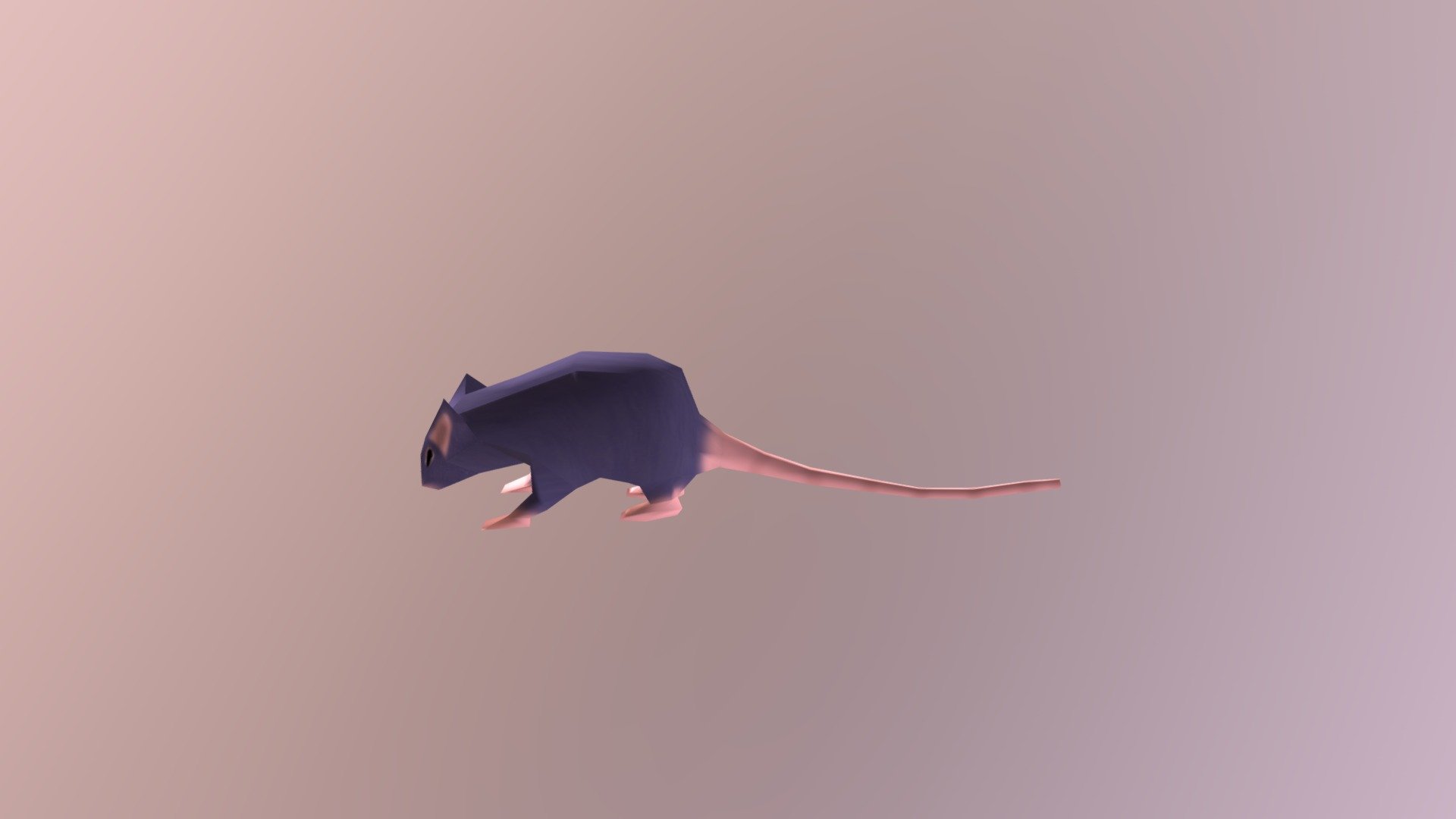 Low-poly Rat - 3D model by Icebear (@Icebear00) [c309cb7] - Sketchfab