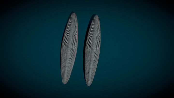 Ecosystems 3D models - Sketchfab