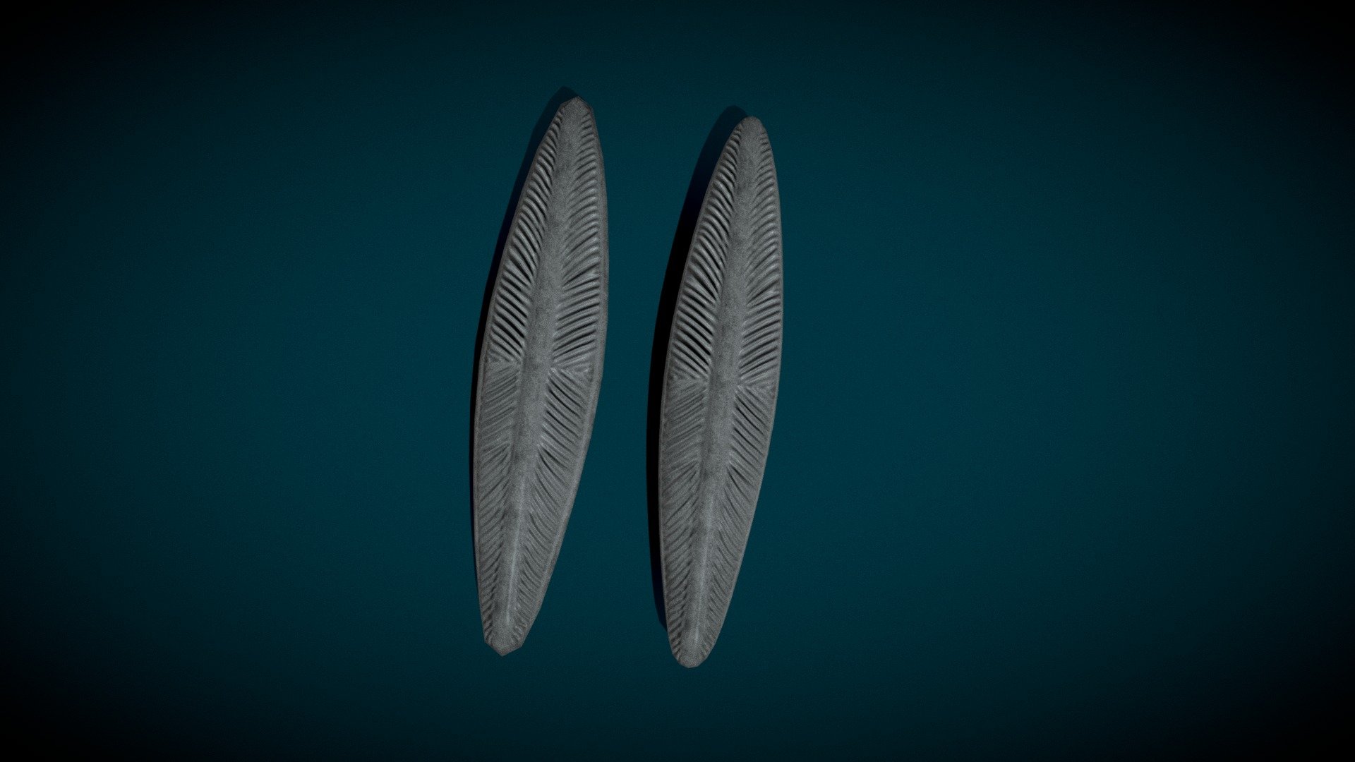 Diatoms - Buy Royalty Free 3D model by Deepak_Sharma [c31af8e ...