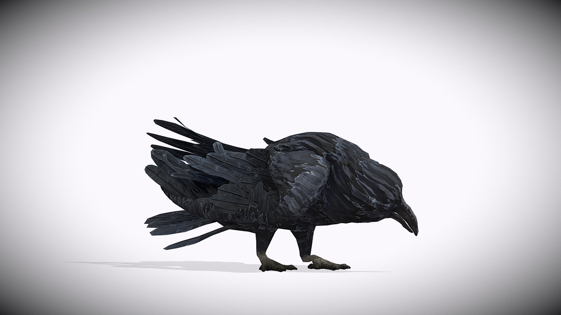 LowPoly Crow Animated - 3D model by Shaina (Regan) Alvarez (@regan.alv ...