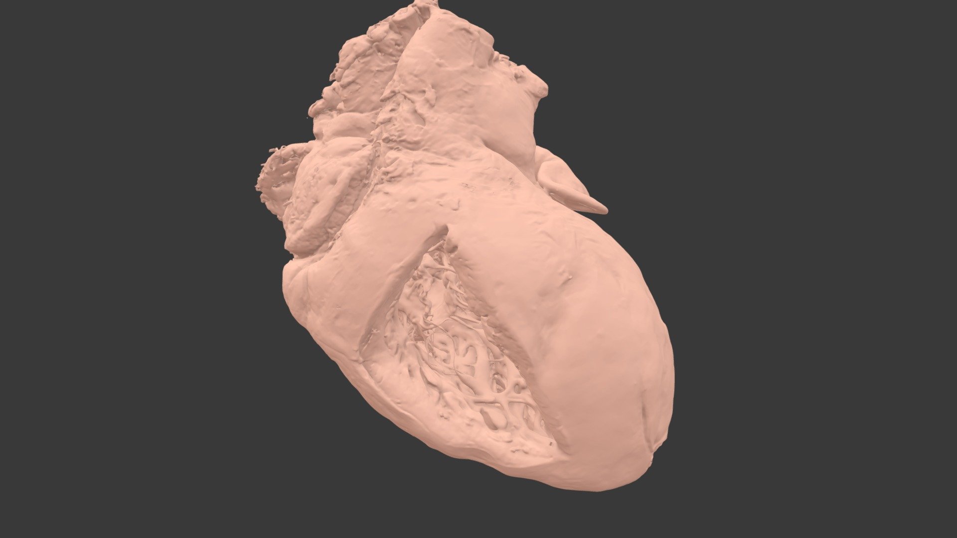 DTGA #9 - DTGA/IVS {S,D,D}, s/p Mustard - 3D model by heartmodels ...